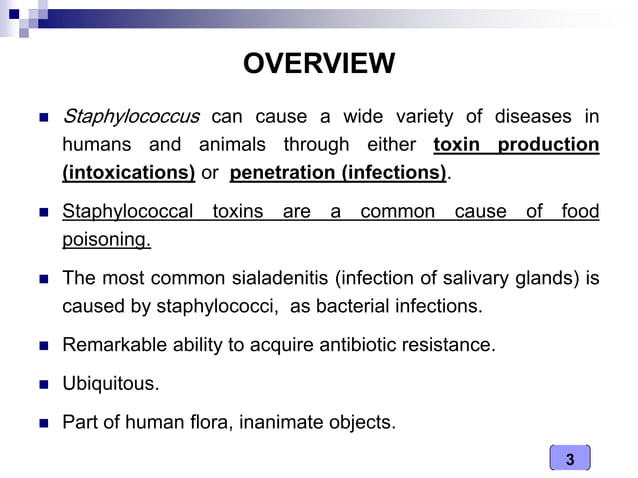 L13 medical microbiology laboratory (staphylococcus spp.) | PDF | Ear ...