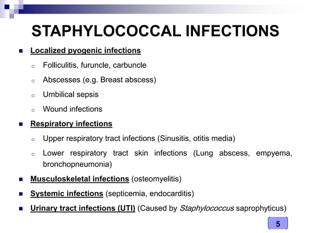 L13 medical microbiology laboratory (staphylococcus spp.) | PDF | Ear ...