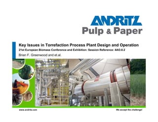 Torrefaction Issues | PDF