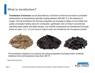 Torrefaction Issues | PDF