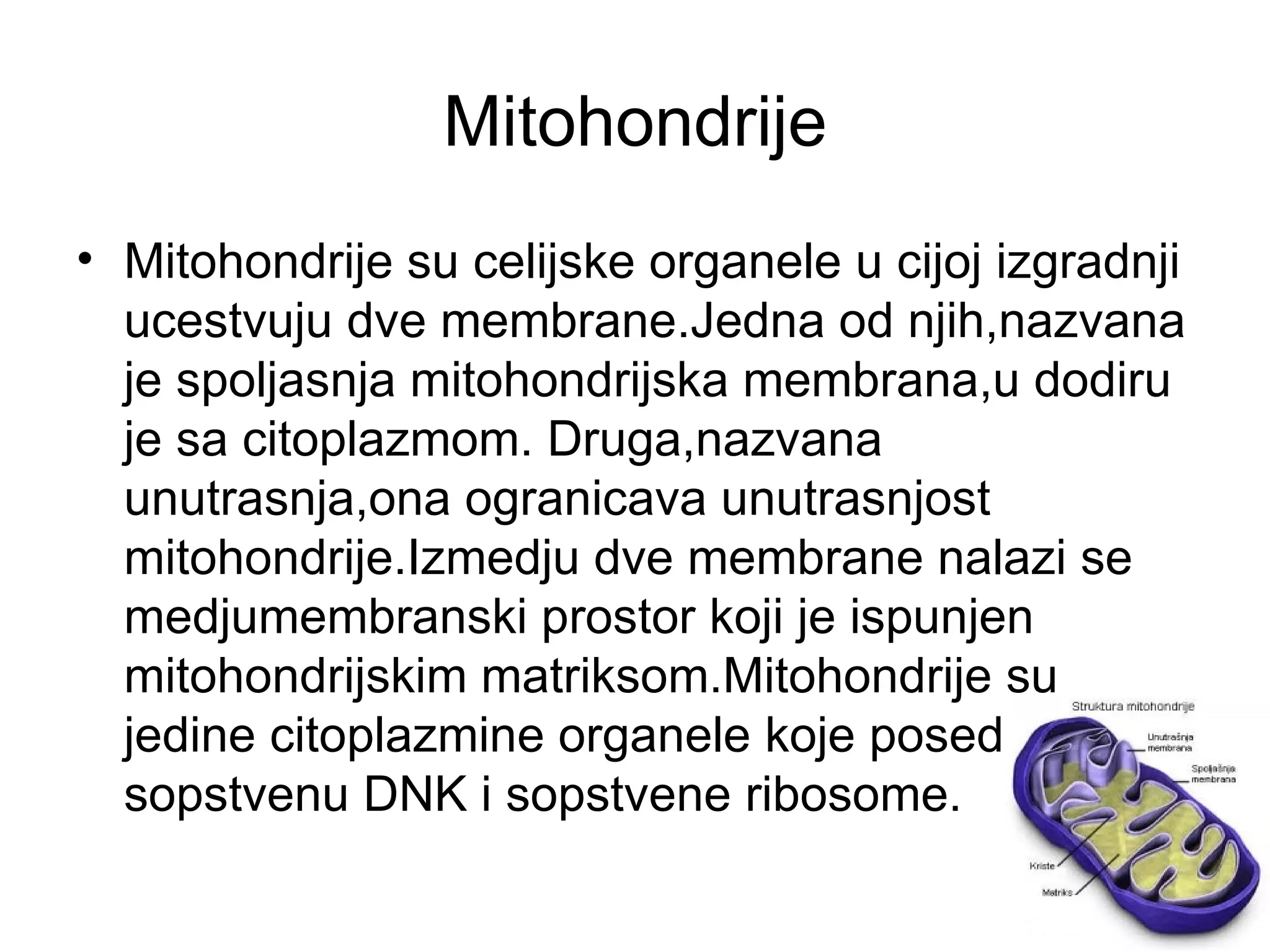 L136 - Biologija - Ćelijske organele - Jelena Stojanović - Barbara ...