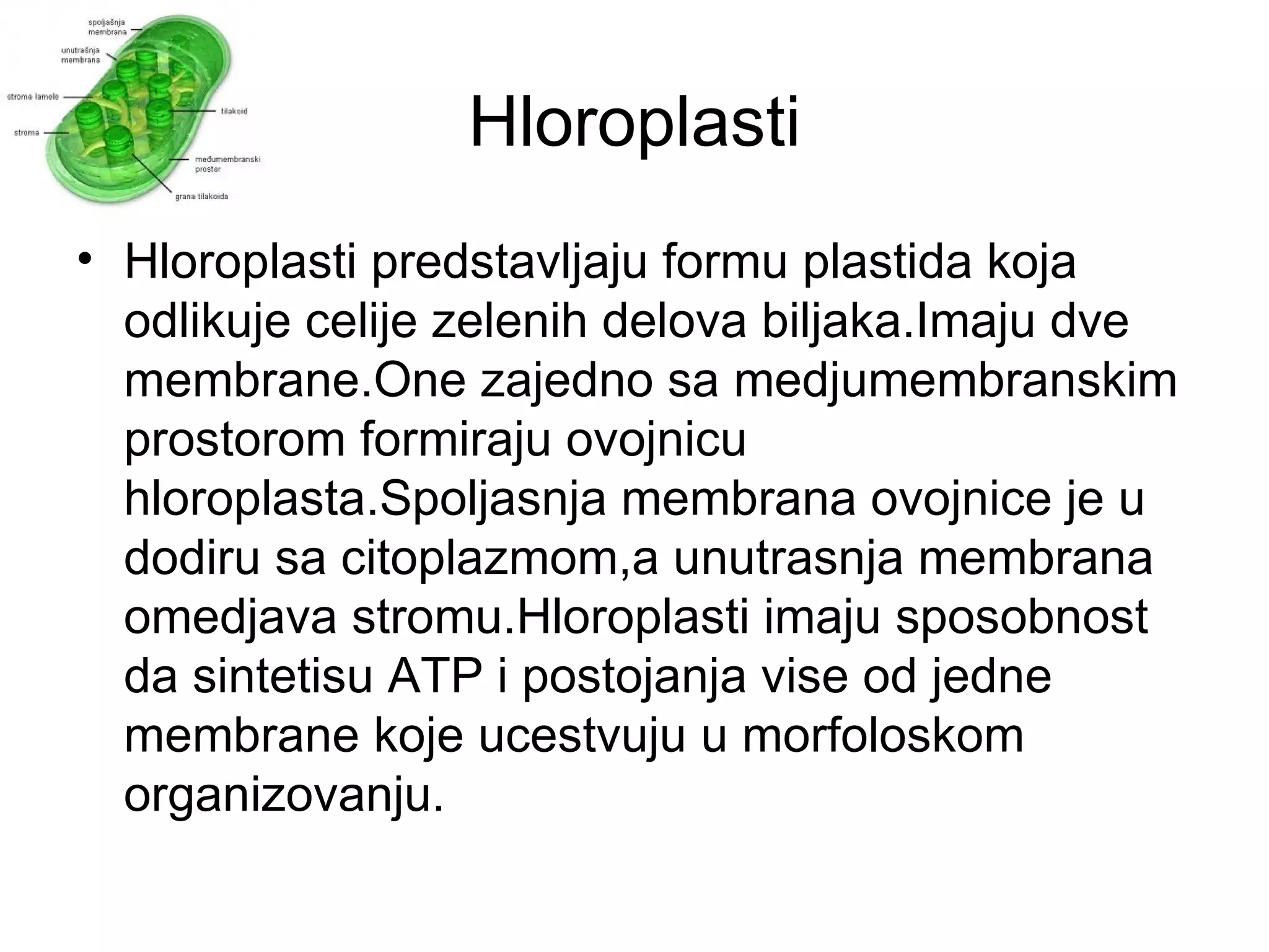 L136 - Biologija - Ćelijske organele - Jelena Stojanović - Barbara ...