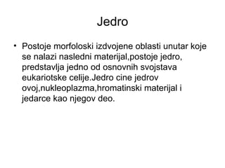 L136 - Biologija - Ćelijske organele - Jelena Stojanović - Barbara ...
