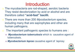 L14.MYCOBACTERIA SPECIES-2023.ppt