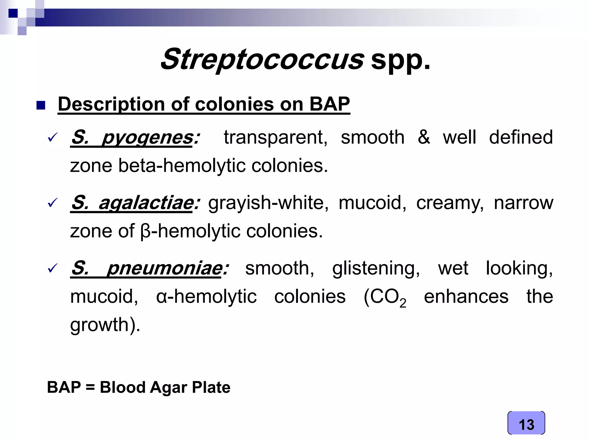 Medical Microbiology Laboratory (streptococcus spp.) | PDF