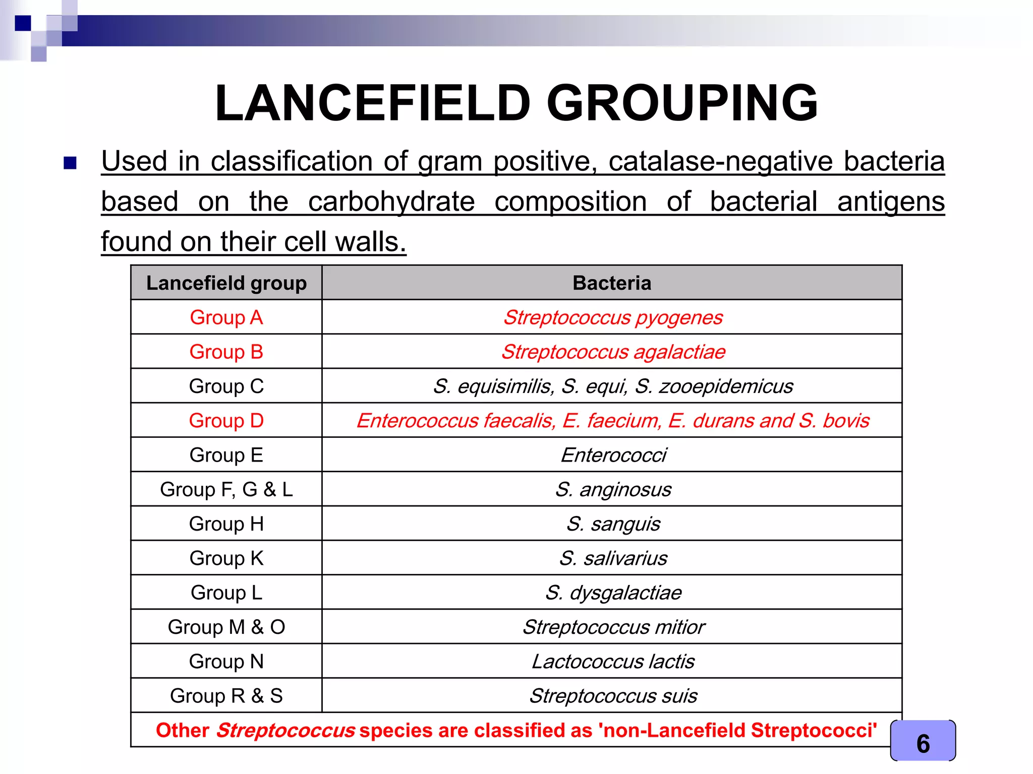 Medical Microbiology Laboratory Streptococcus Spp Pdf