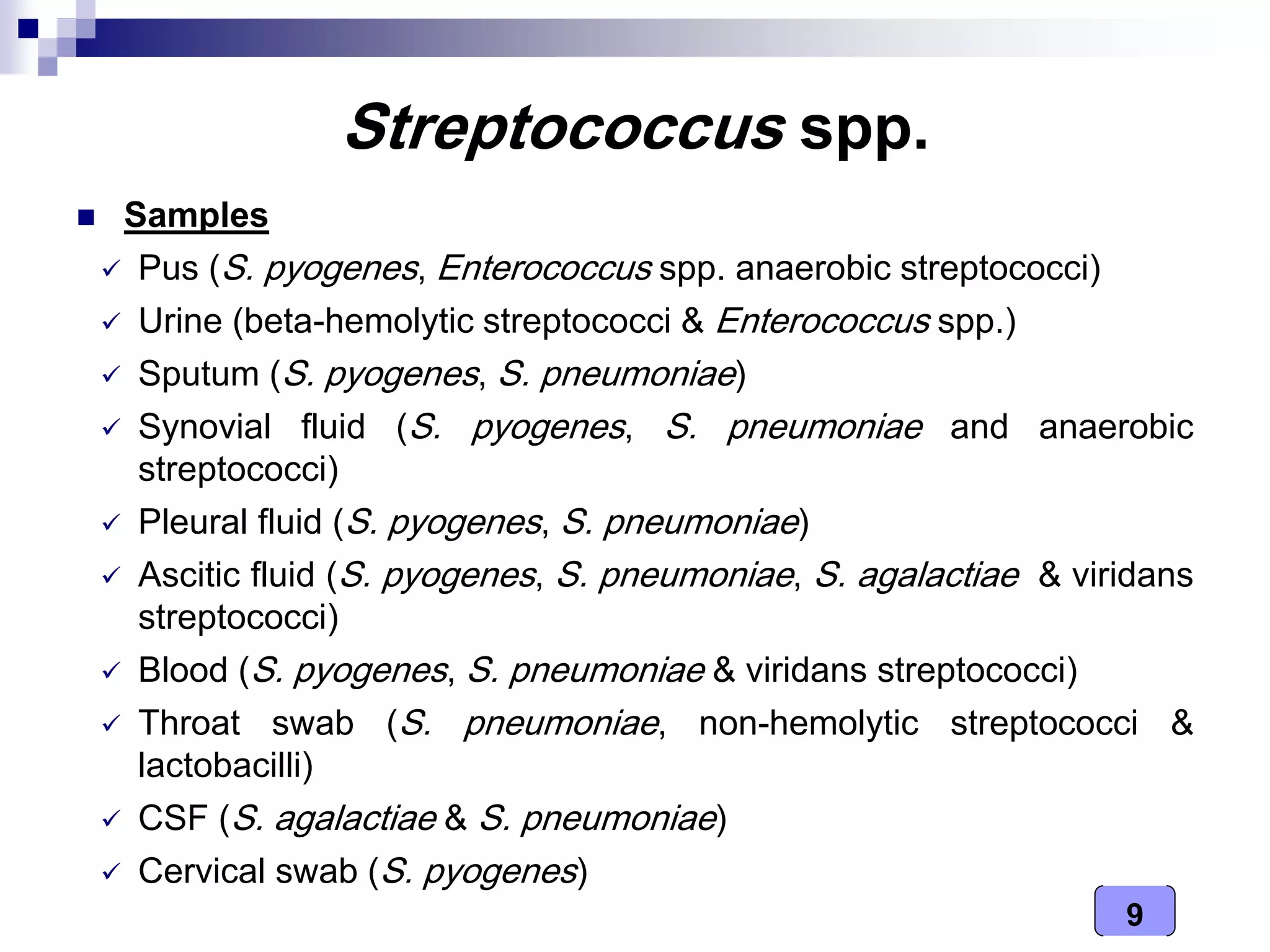 Medical Microbiology Laboratory (streptococcus spp.) | PDF