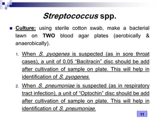 Medical Microbiology Laboratory (streptococcus spp.) | PDF