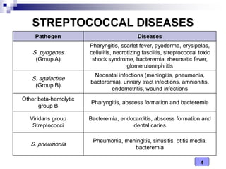 Medical Microbiology Laboratory (streptococcus spp.) | PDF