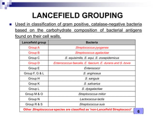 Medical Microbiology Laboratory (streptococcus spp.) | PDF