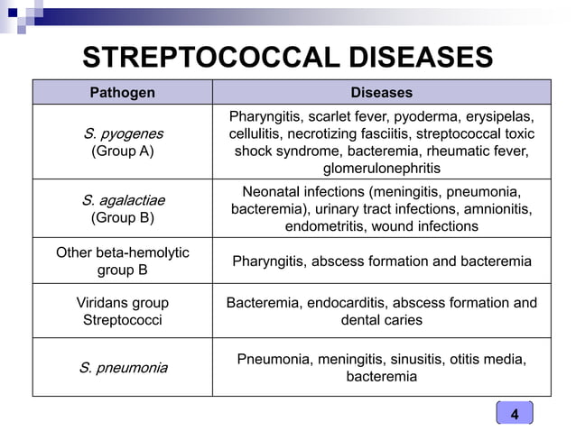 Medical Microbiology Laboratory Streptococcus Spp