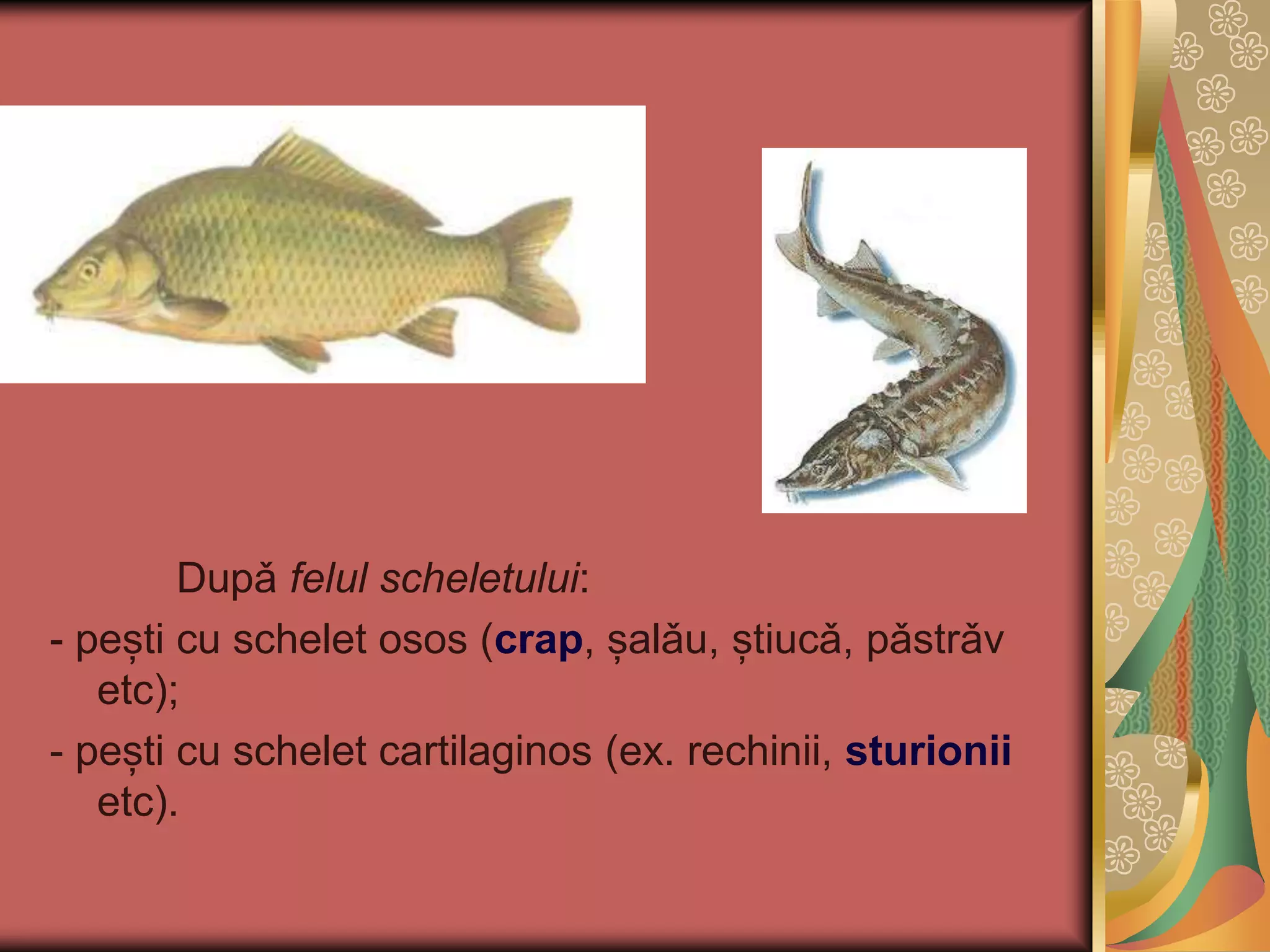 Peste si conserve din peste | PPT