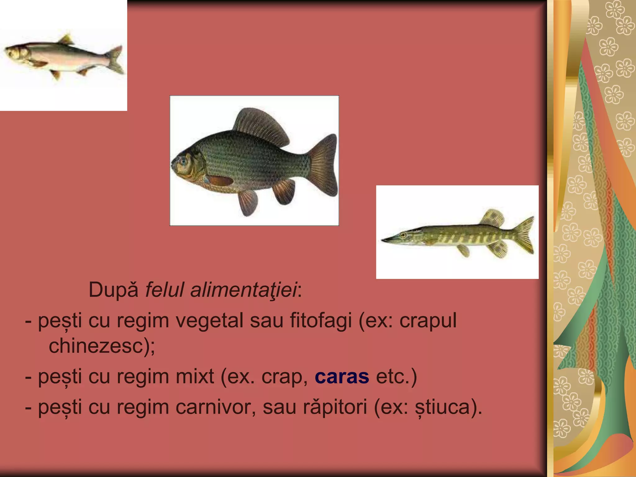 Peste si conserve din peste | PPT