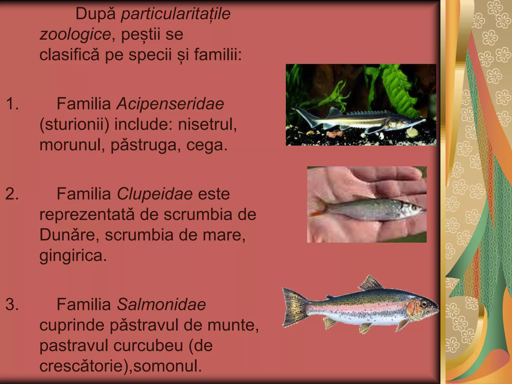 Peste si conserve din peste | PPT