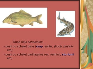 Peste si conserve din peste | PPT