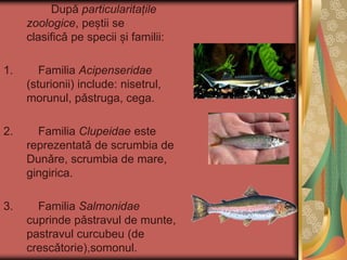 Peste si conserve din peste | PPT