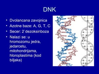 L149 - Biologija - Molekularna biologija - Jovana Radenković - Radica ...