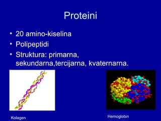L149 - Biologija - Molekularna biologija - Jovana Radenković - Radica ...
