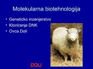 L149 - Biologija - Molekularna biologija - Jovana Radenković - Radica Dimitrijević | PPT
