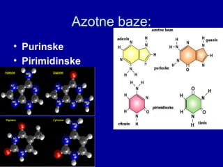 L149 - Biologija - Molekularna biologija - Jovana Radenković - Radica ...