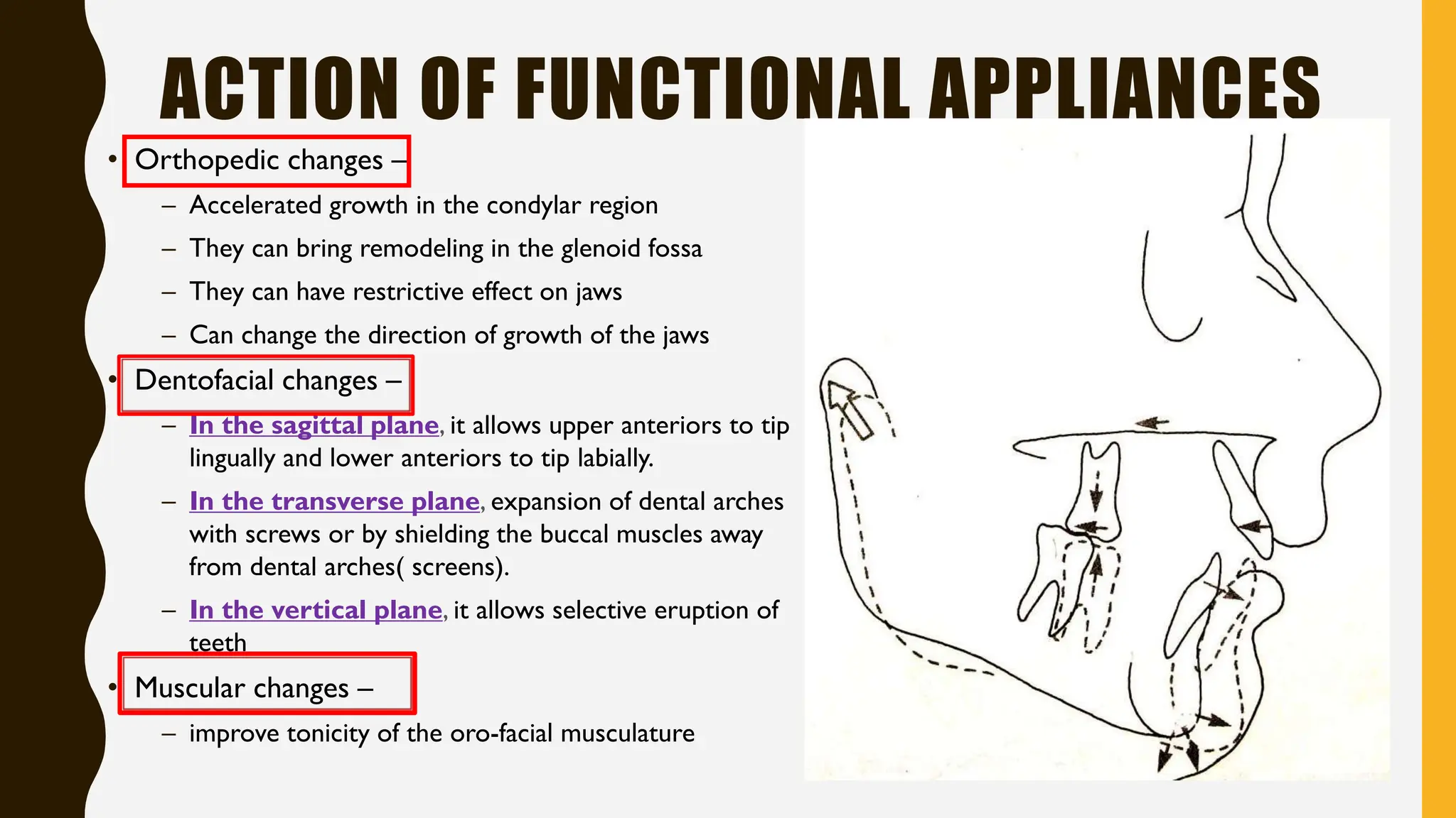 L14 Functional Appliances in orthodontics | PDF