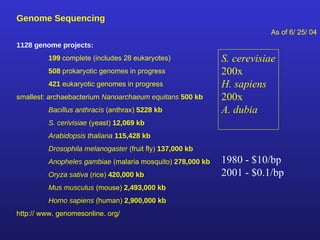L14 human genome | PPT