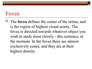 Anatomy of the human eye-Ophthalmology Anatomy | PPT