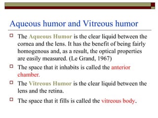 Anatomy of the human eye-Ophthalmology Anatomy | PPT