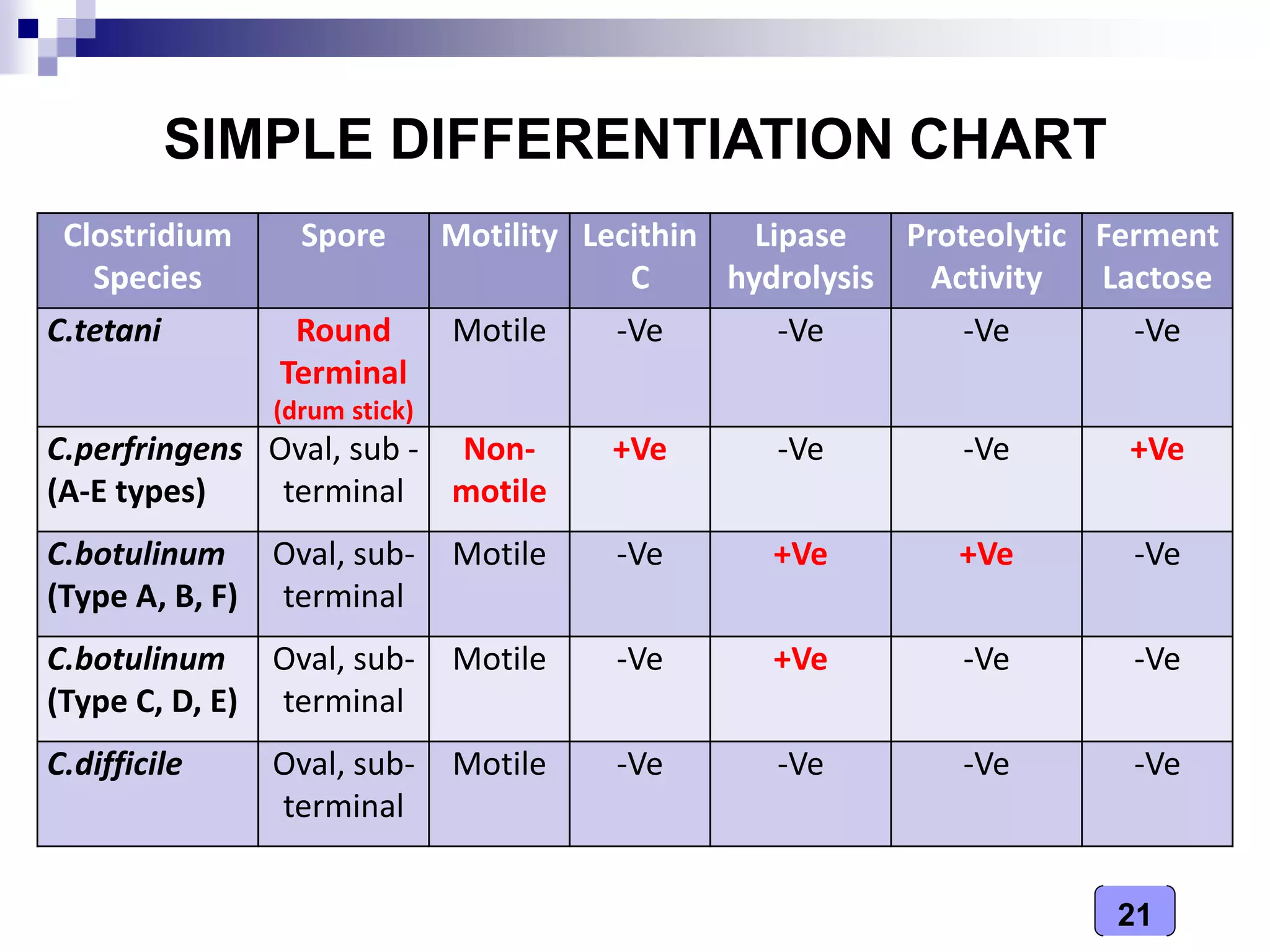 Medical Microbiology Laboratory (Clostridium spp.) | PDF