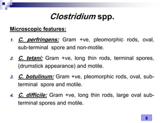 Medical Microbiology Laboratory (Clostridium spp.) | PDF