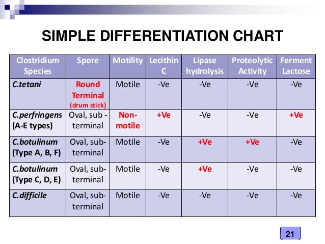 Medical Microbiology Laboratory (Clostridium spp.)