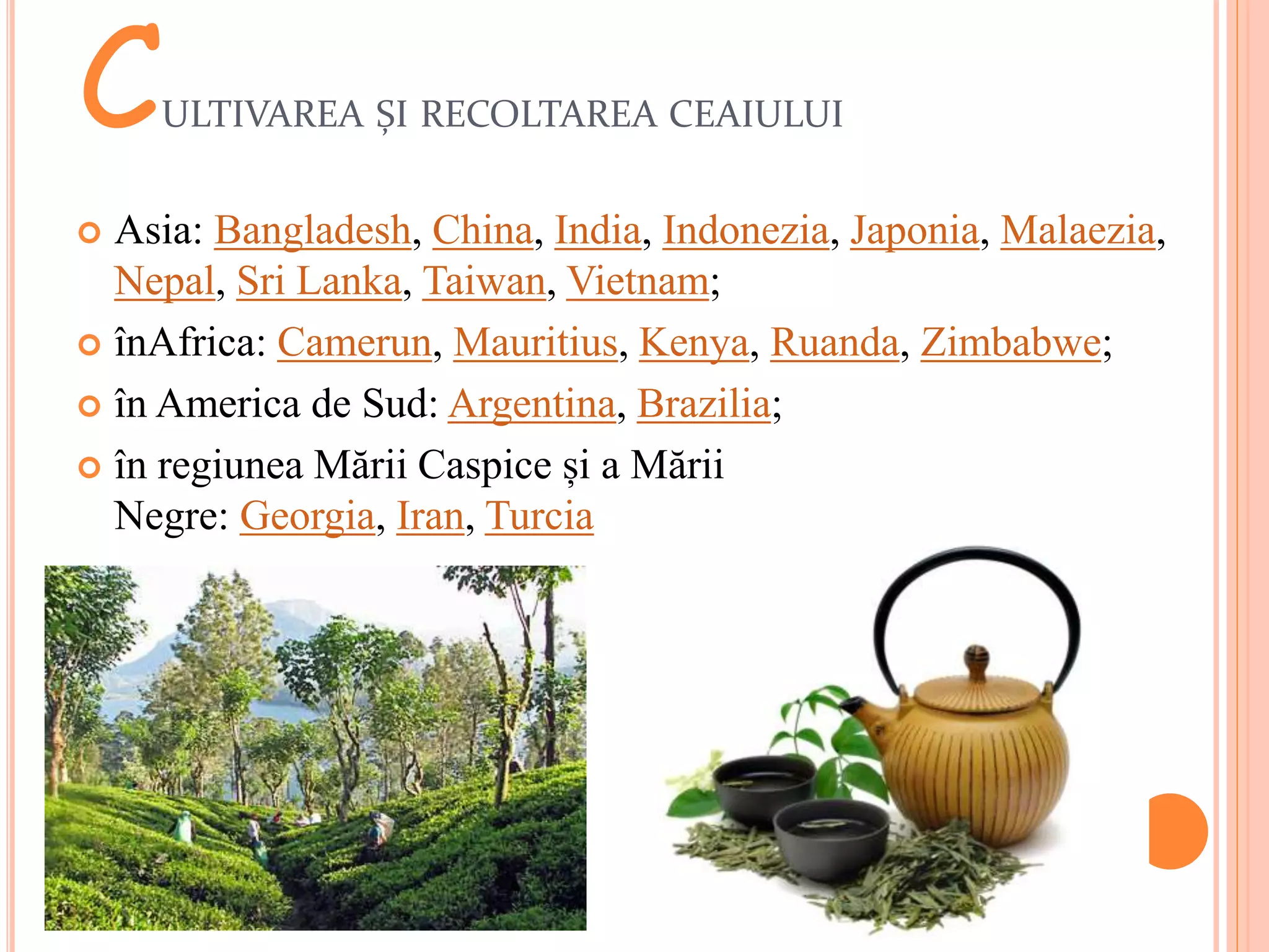 Produse stimulente | PPT