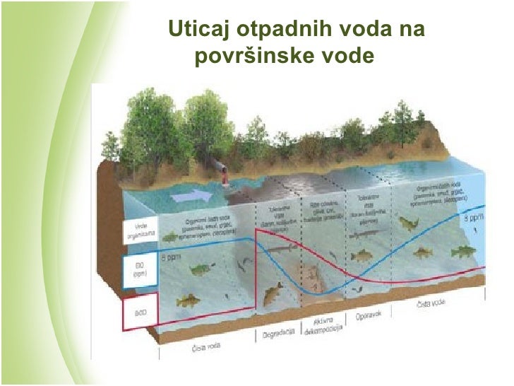 L153 - Biologija - Zagađenje voda - Damjan Bogdanović - Danijela Velj…