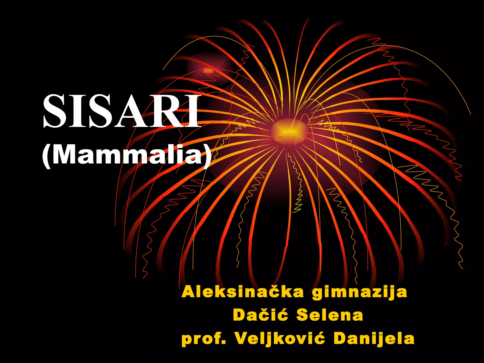 L158 - Biologija - Sisari - Selena Dačić - Danijela Veljković | PPT