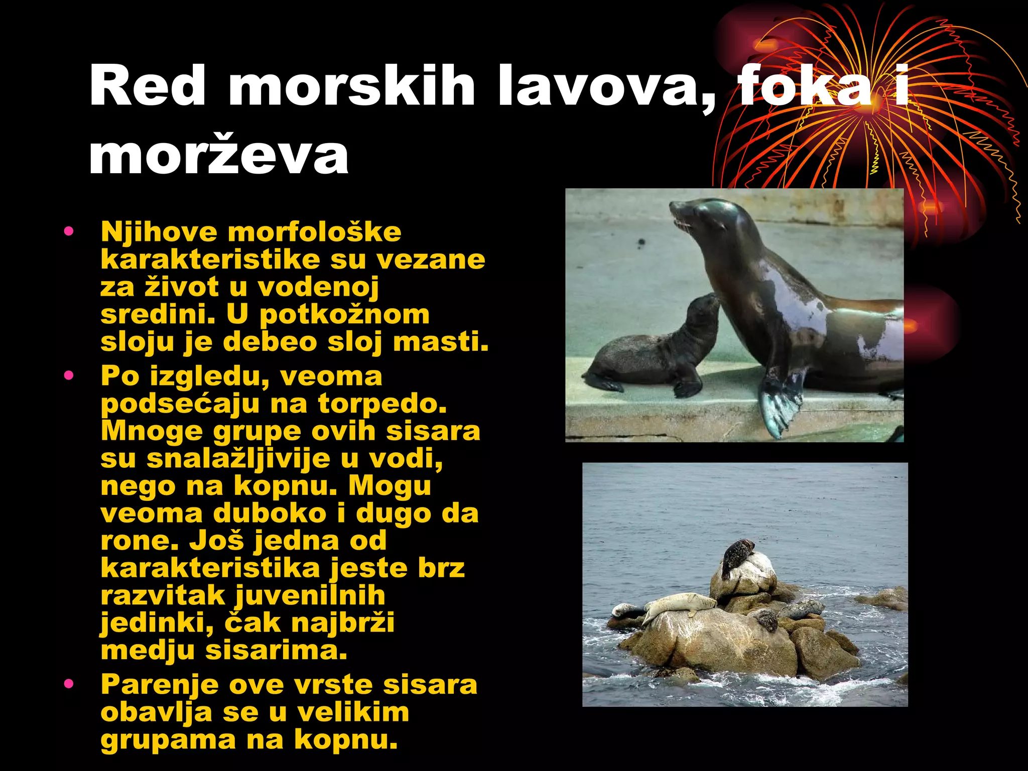 L158 - Biologija - Sisari - Selena Dačić - Danijela Veljković | PPT