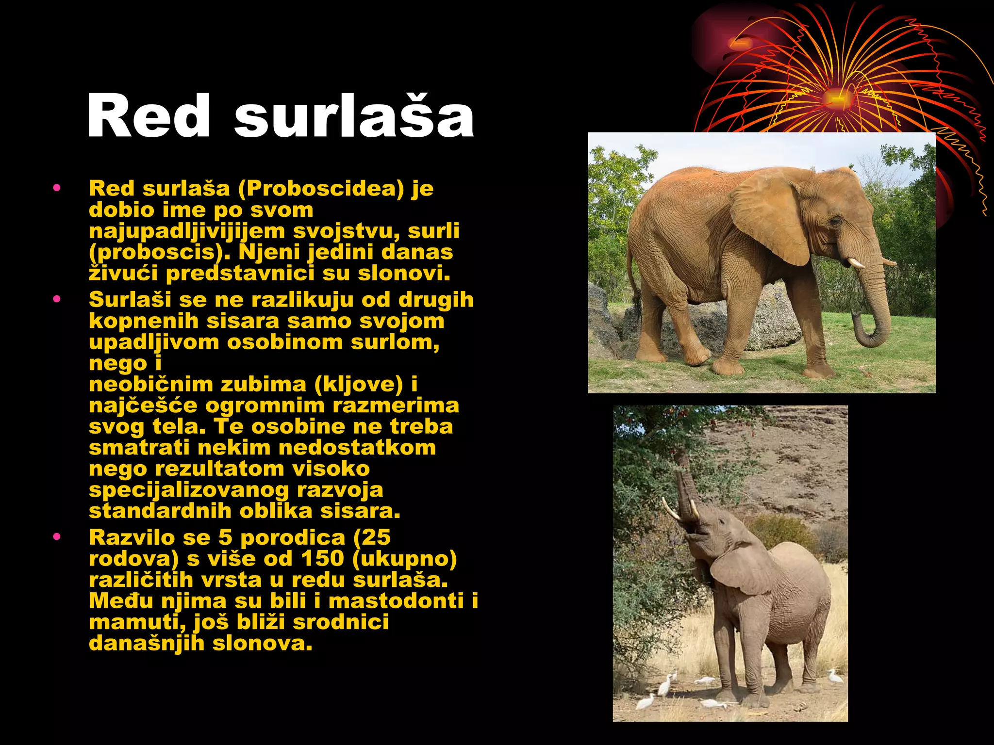 L158 - Biologija - Sisari - Selena Dačić - Danijela Veljković | PPT