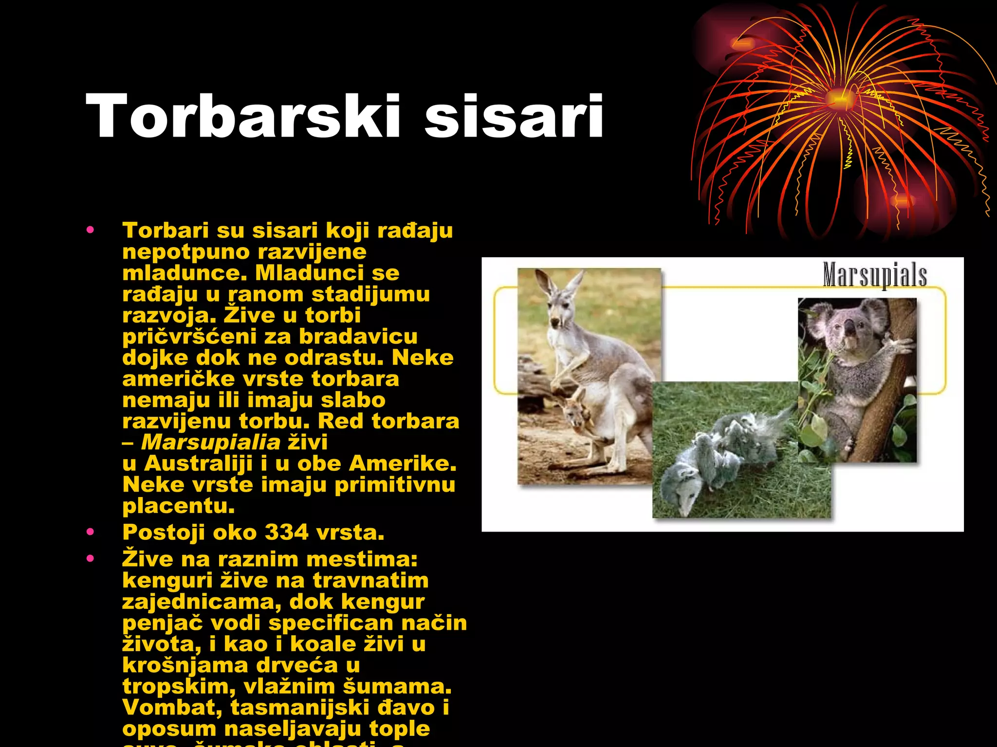L158 - Biologija - Sisari - Selena Dačić - Danijela Veljković | PPT