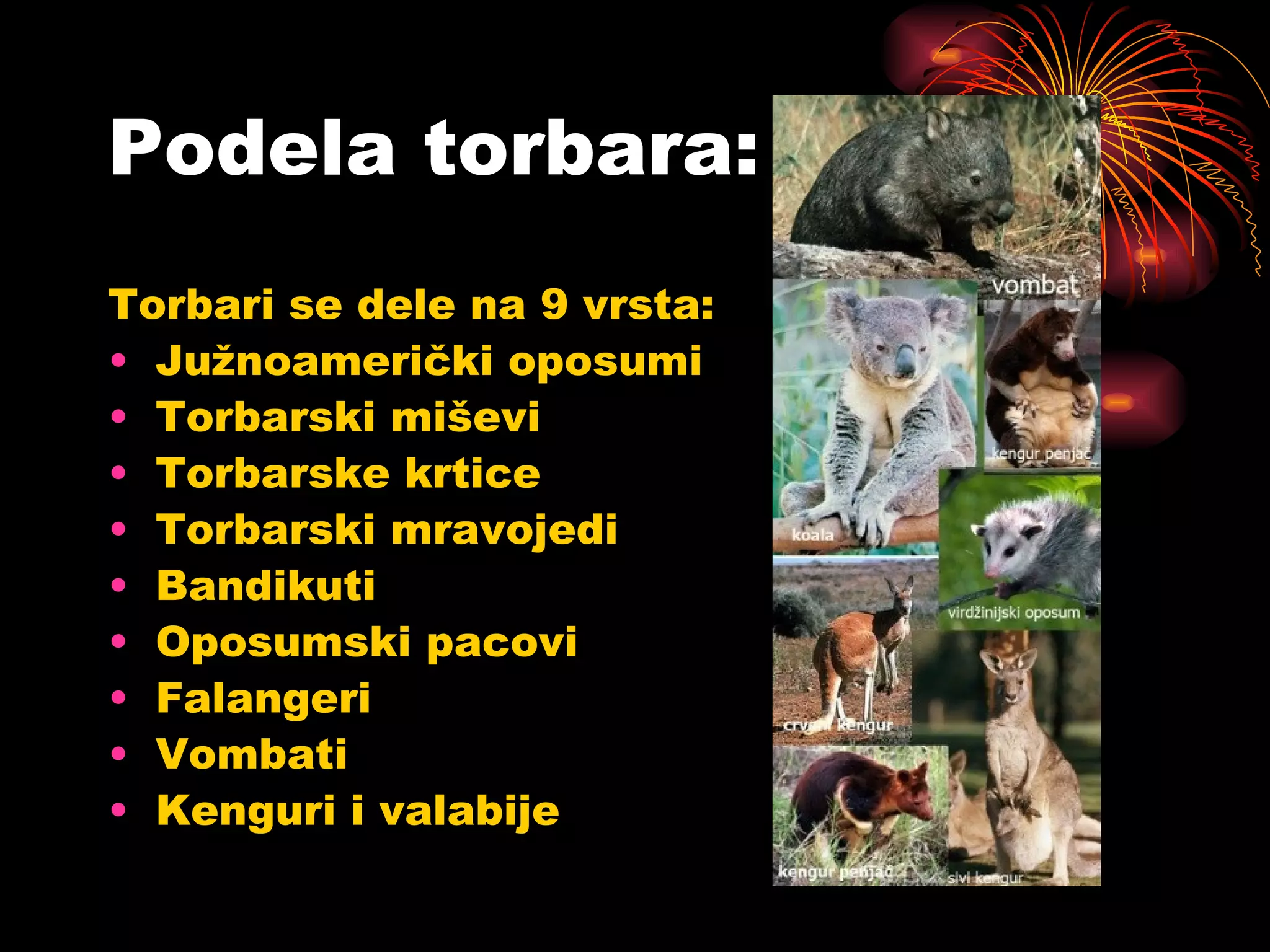 L158 - Biologija - Sisari - Selena Dačić - Danijela Veljković | PPT