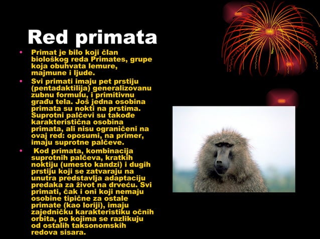 L158 - Biologija - Sisari - Selena Dačić - Danijela Veljković | PPT