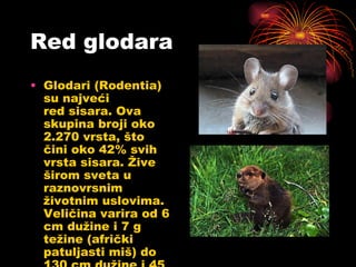 L158 - Biologija - Sisari - Selena Dačić - Danijela Veljković | PPT