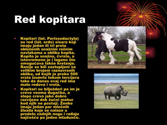 L158 - Biologija - Sisari - Selena Dačić - Danijela Veljković | PPT