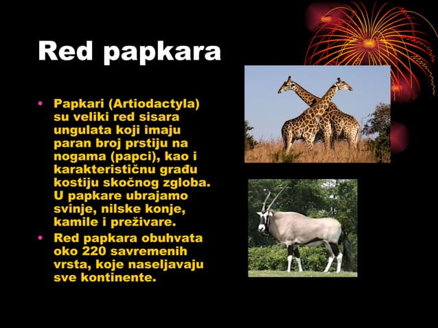 L158 - Biologija - Sisari - Selena Dačić - Danijela Veljković | PPT