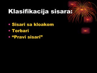 L158 - Biologija - Sisari - Selena Dačić - Danijela Veljković | PPT