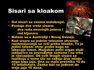 L158 - Biologija - Sisari - Selena Dačić - Danijela Veljković | PPT