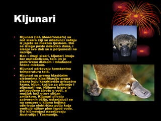 L158 - Biologija - Sisari - Selena Dačić - Danijela Veljković | PPT