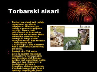 L158 - Biologija - Sisari - Selena Dačić - Danijela Veljković | PPT