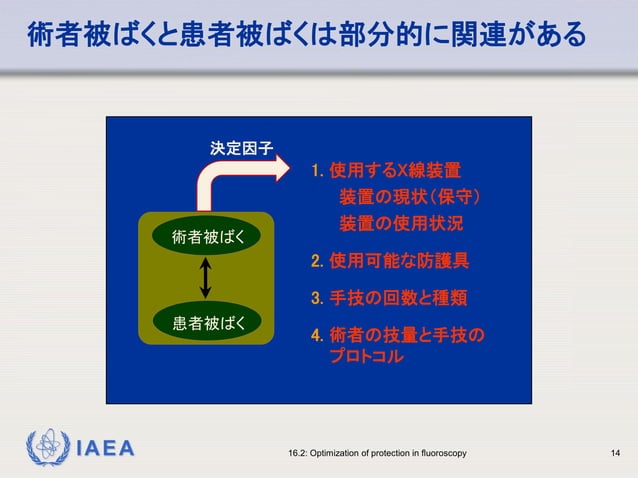 L16.2監訳版改 | PDF | Eye and Vision Conditions | Diseases and Conditions