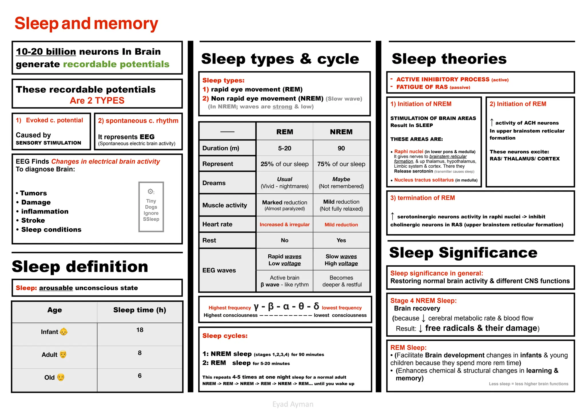 L16. sleep & memory in two pages……………….. | PDF