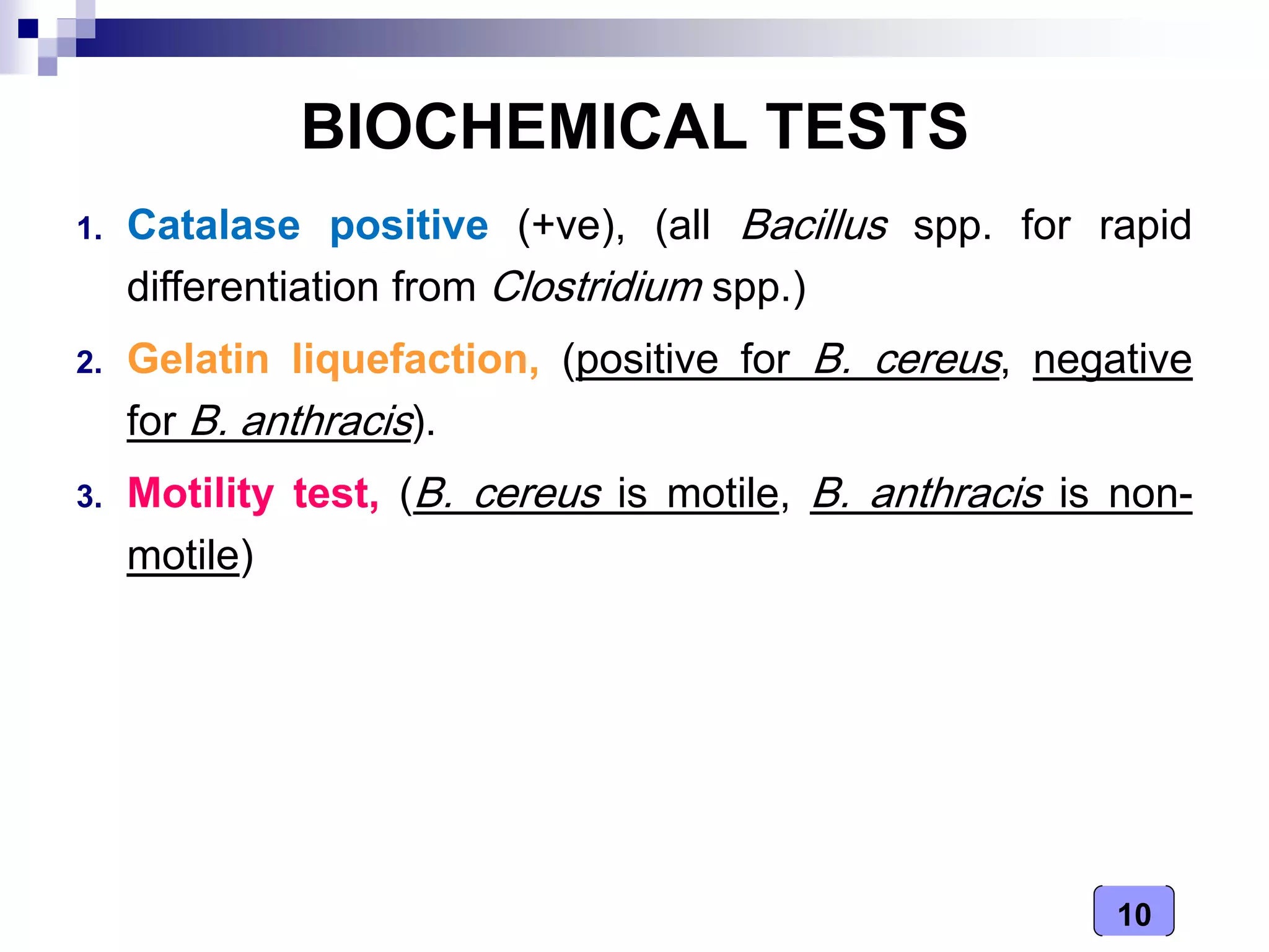 Medical Microbiology Laboratory (Bacillus spp.) | PDF