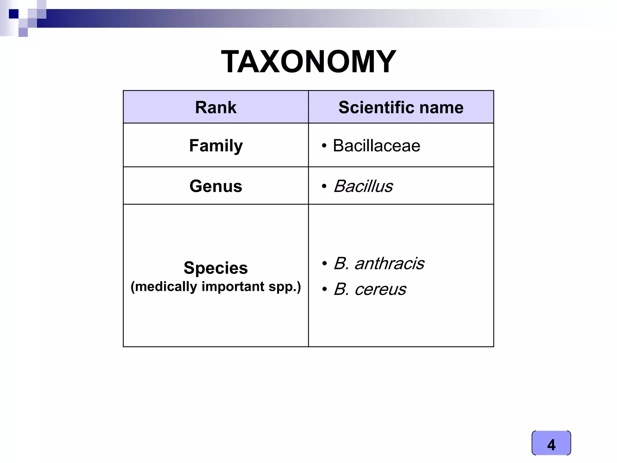 Medical Microbiology Laboratory (Bacillus spp.) | PDF